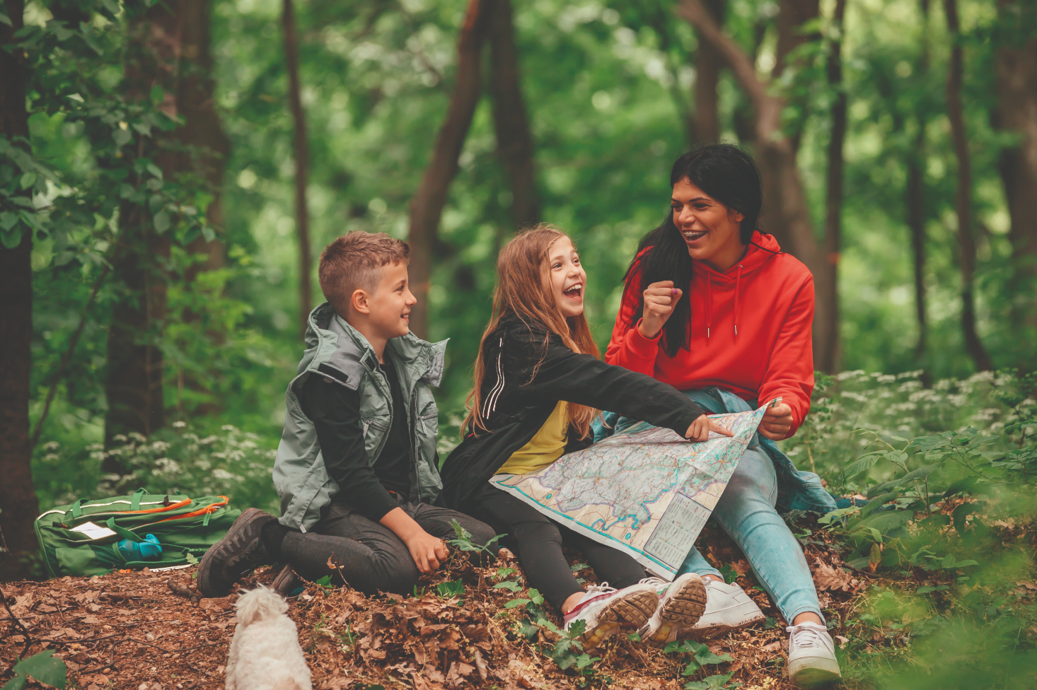 State of the Nation Report 2024: Local to National, Mapping ...